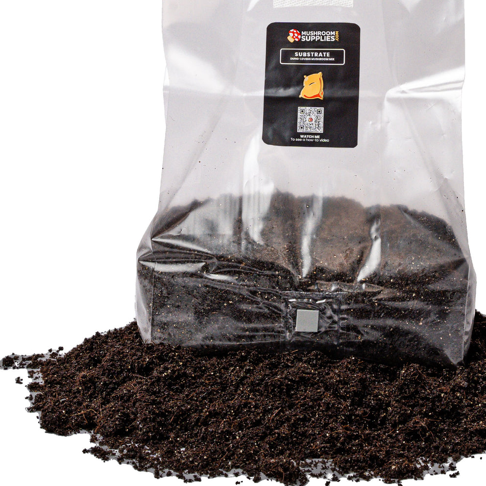 Organic Mushroom Grow Kit USA, Best Mushroom Growing Kit – Max Yield Bins