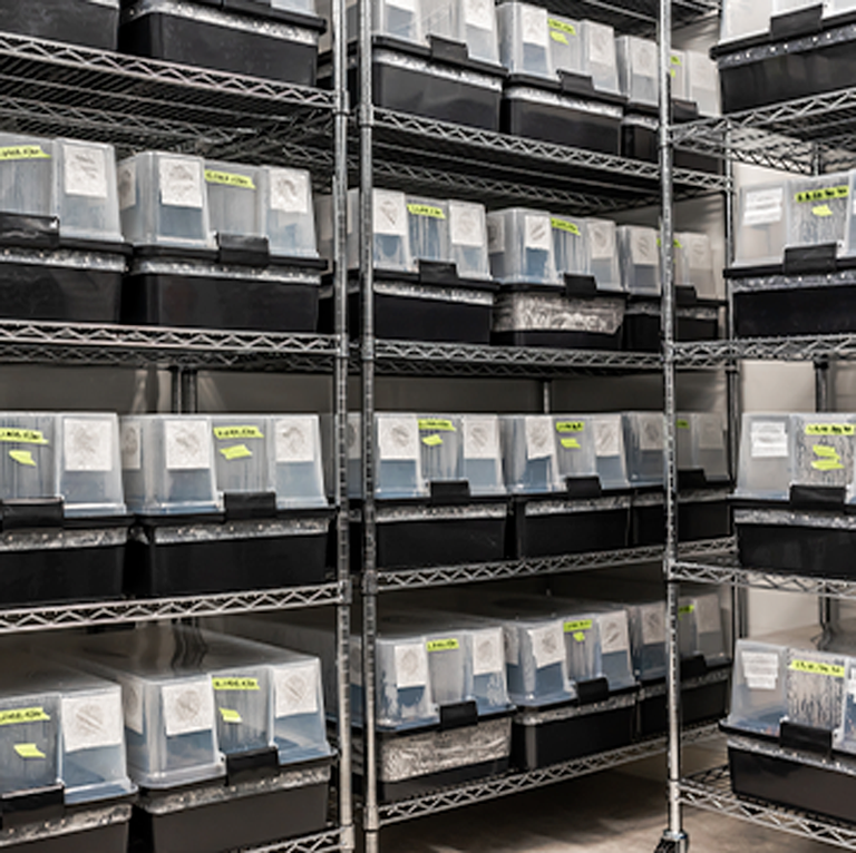 Commercial Mushroom Fruiting Chamber, Commercial Mushroom Growing Kit ...